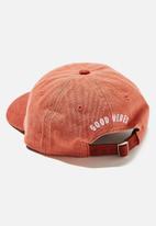 Classic dad cap - earthy red/good vibes Rubi Headwear | Superbalist.com