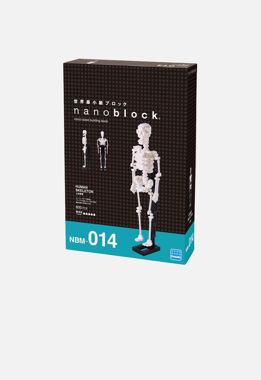 nanoblock® - Human Skeleton