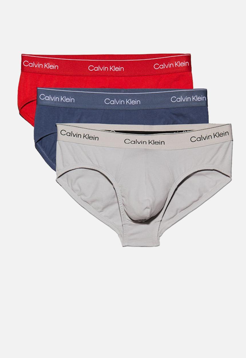 Hip Brief 3Pk - Vntge Indg, Mcr Chp, Mltn W/ Dtm Wb