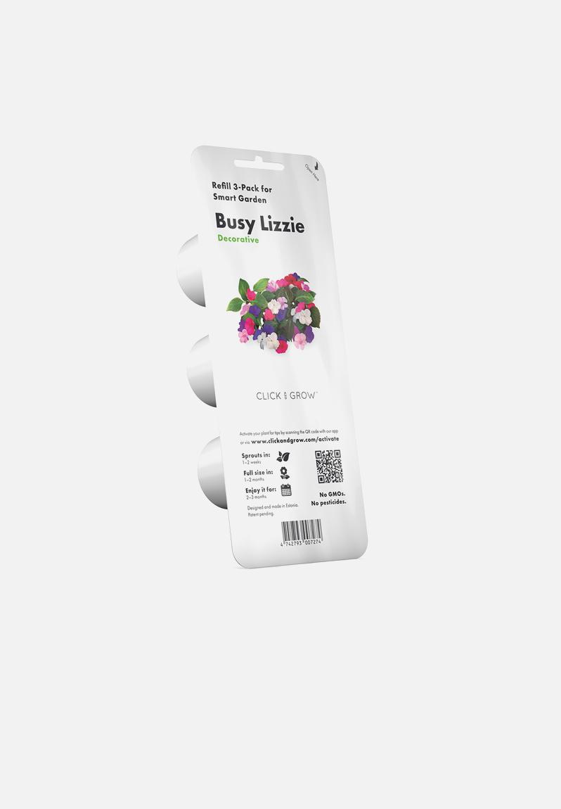 Busy lizzie - 3 pack