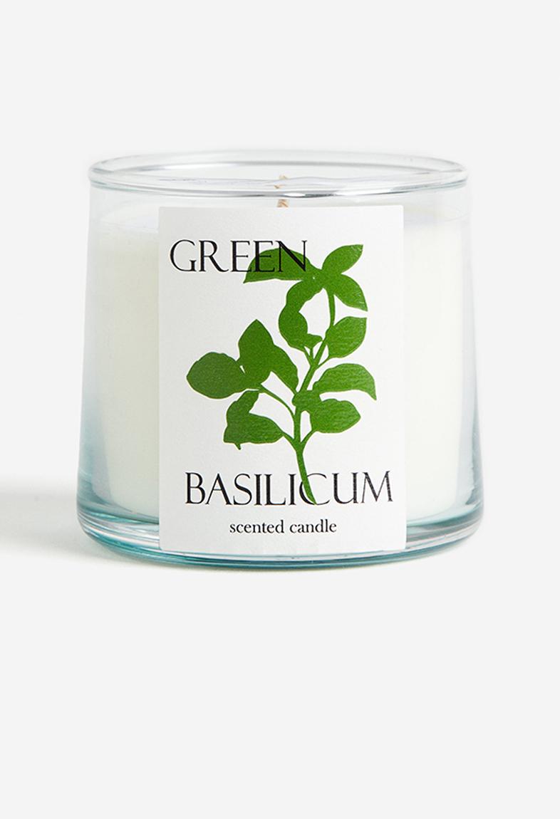 Scented candle in glass holder - green/green basilicum - 1207255004