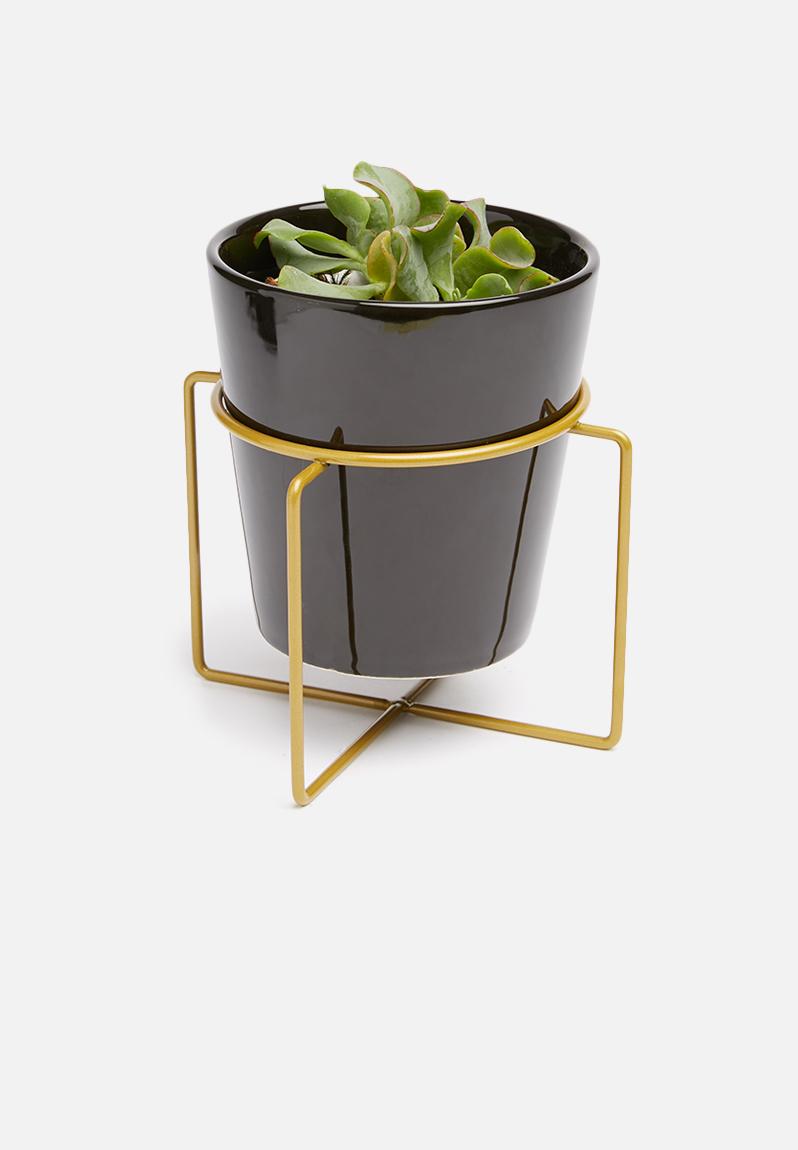 Coy L plant pot - Ceramic Black Present Time Decor Accessories ...