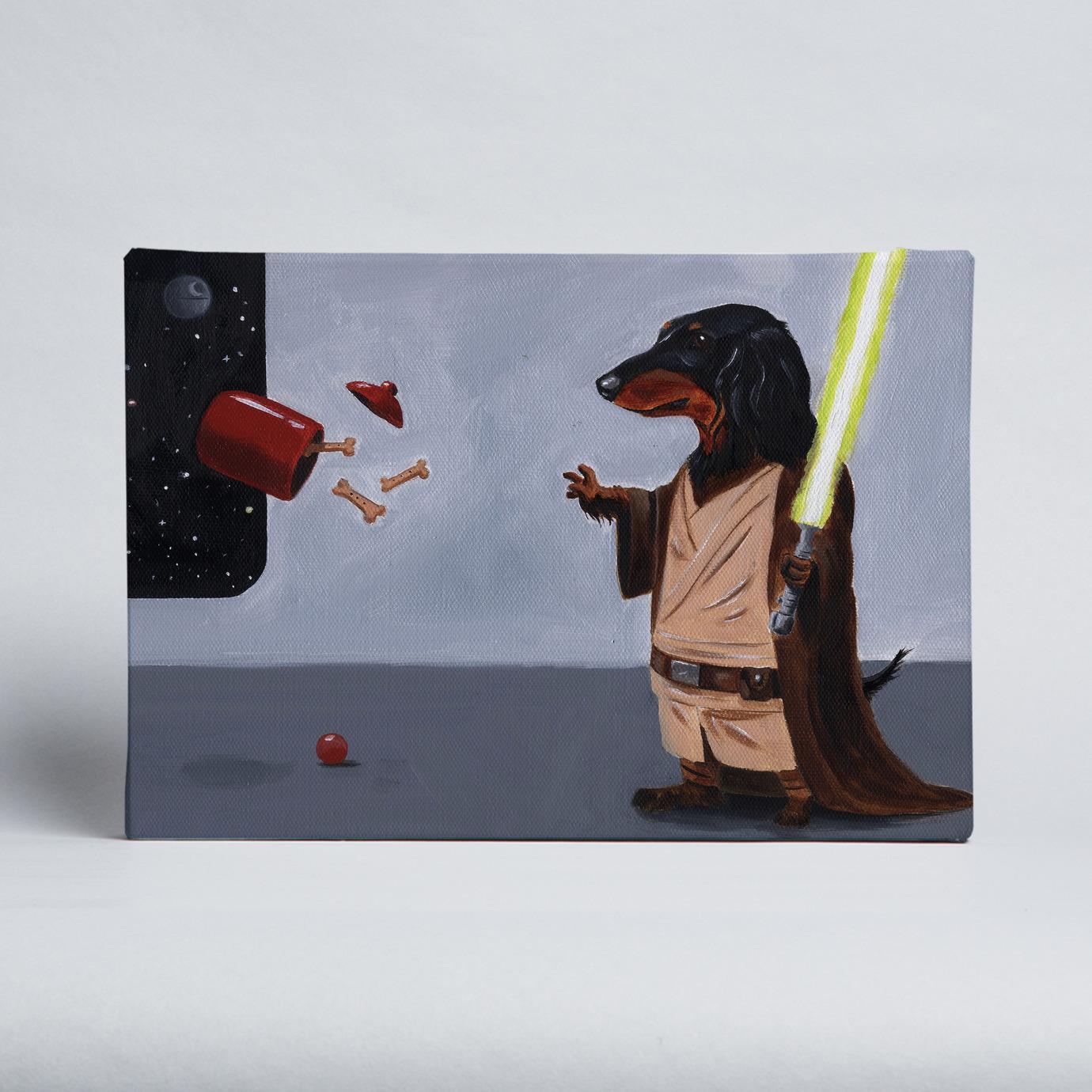 Dach Jedi - Canvas Brian Rubenacker Art | Superbalist.com
